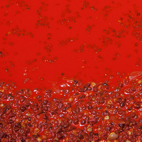 Achiote | Color Amazonia