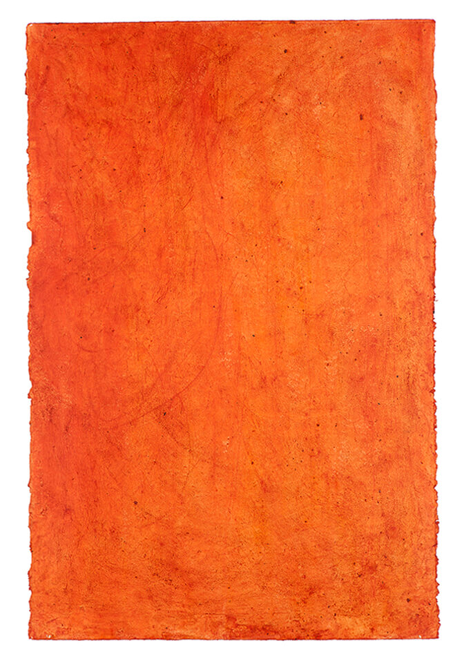 Achiote | Color Amazonia