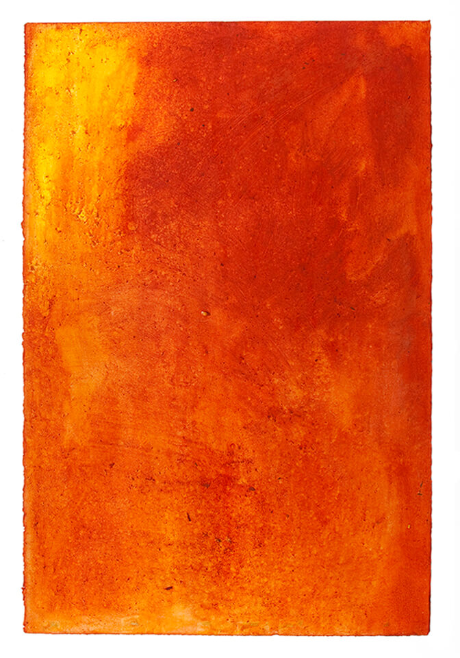 Achiote | Color Amazonia