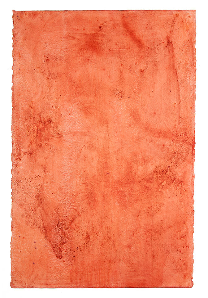 Achiote | Color Amazonia