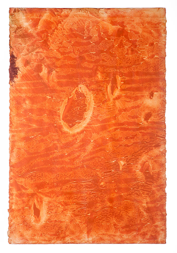 Achiote | Color Amazonia