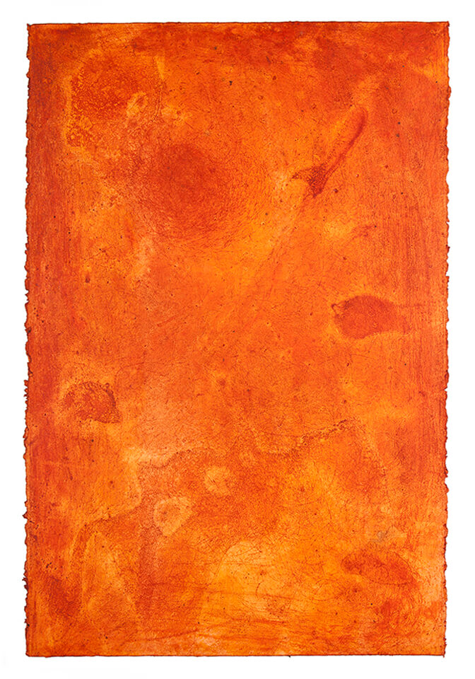 Achiote | Color Amazonia