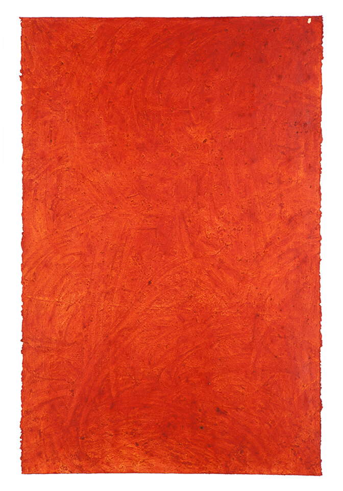 Achiote | Color Amazonia