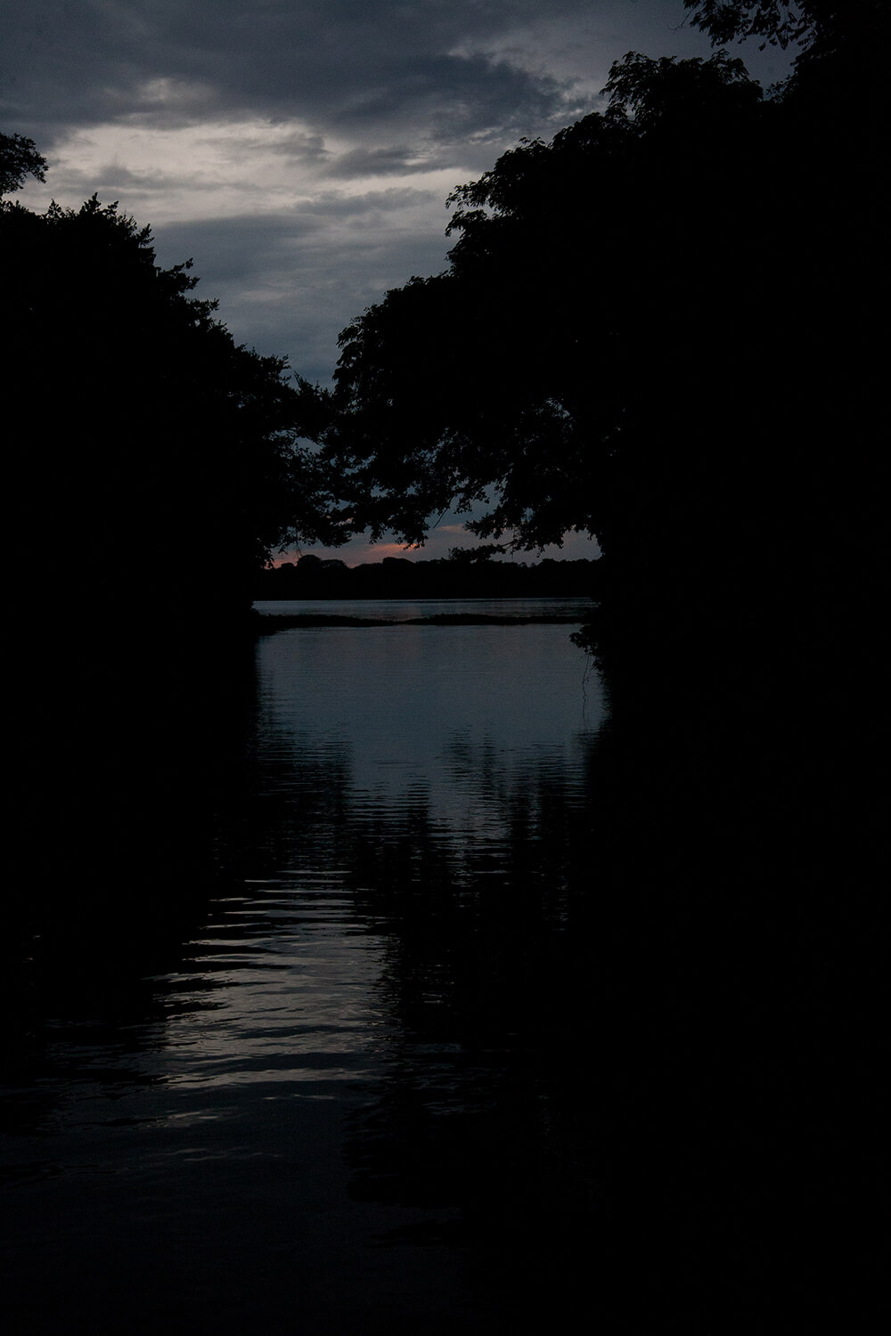 Amazonas | Color Amazonia