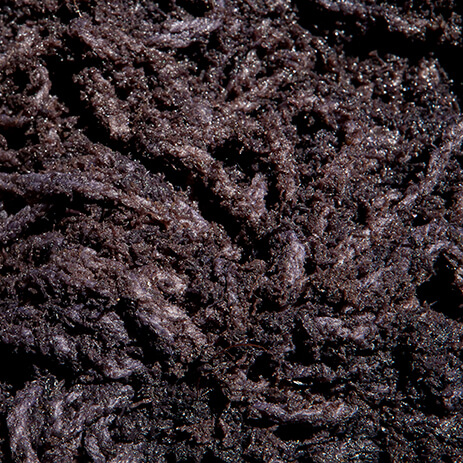 Huito | Color Amazonia