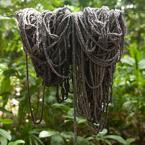 Huito | Color Amazonia