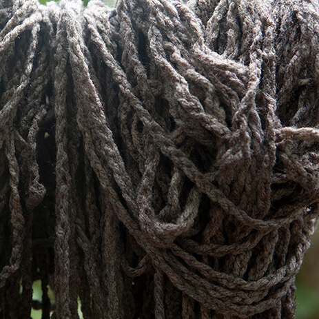 Huito | Color Amazonia