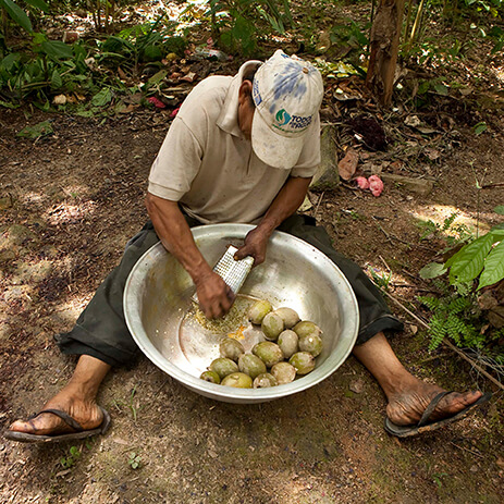 Huito | Color Amazonia