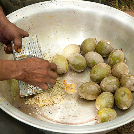 Huito | Color Amazonia