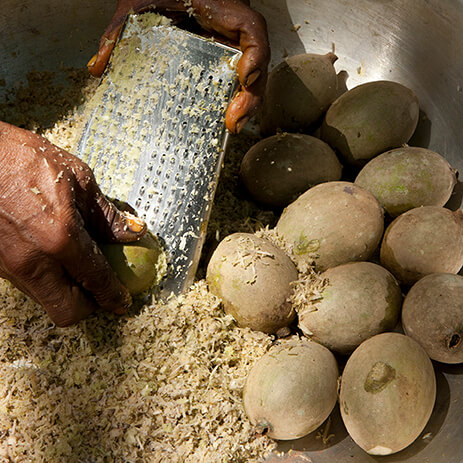 Huito | Color Amazonia