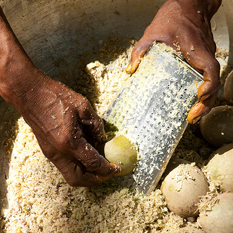 Huito | Color Amazonia