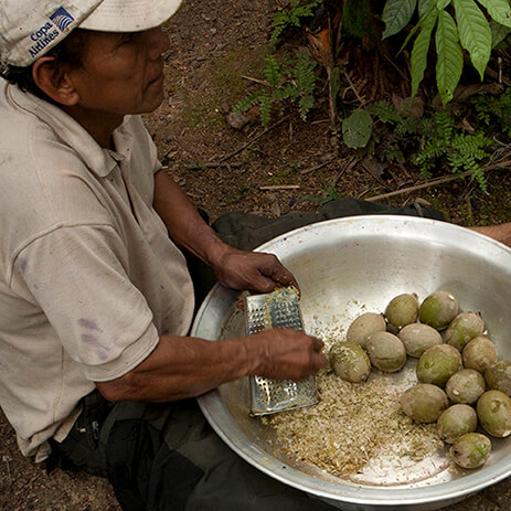 Huito | Color Amazonia