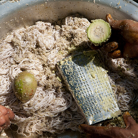 Huito | Color Amazonia