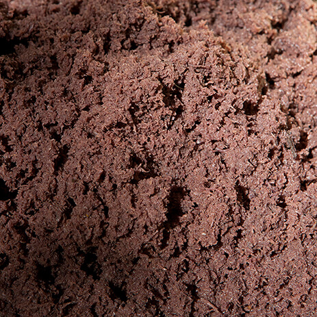 Huito | Color Amazonia