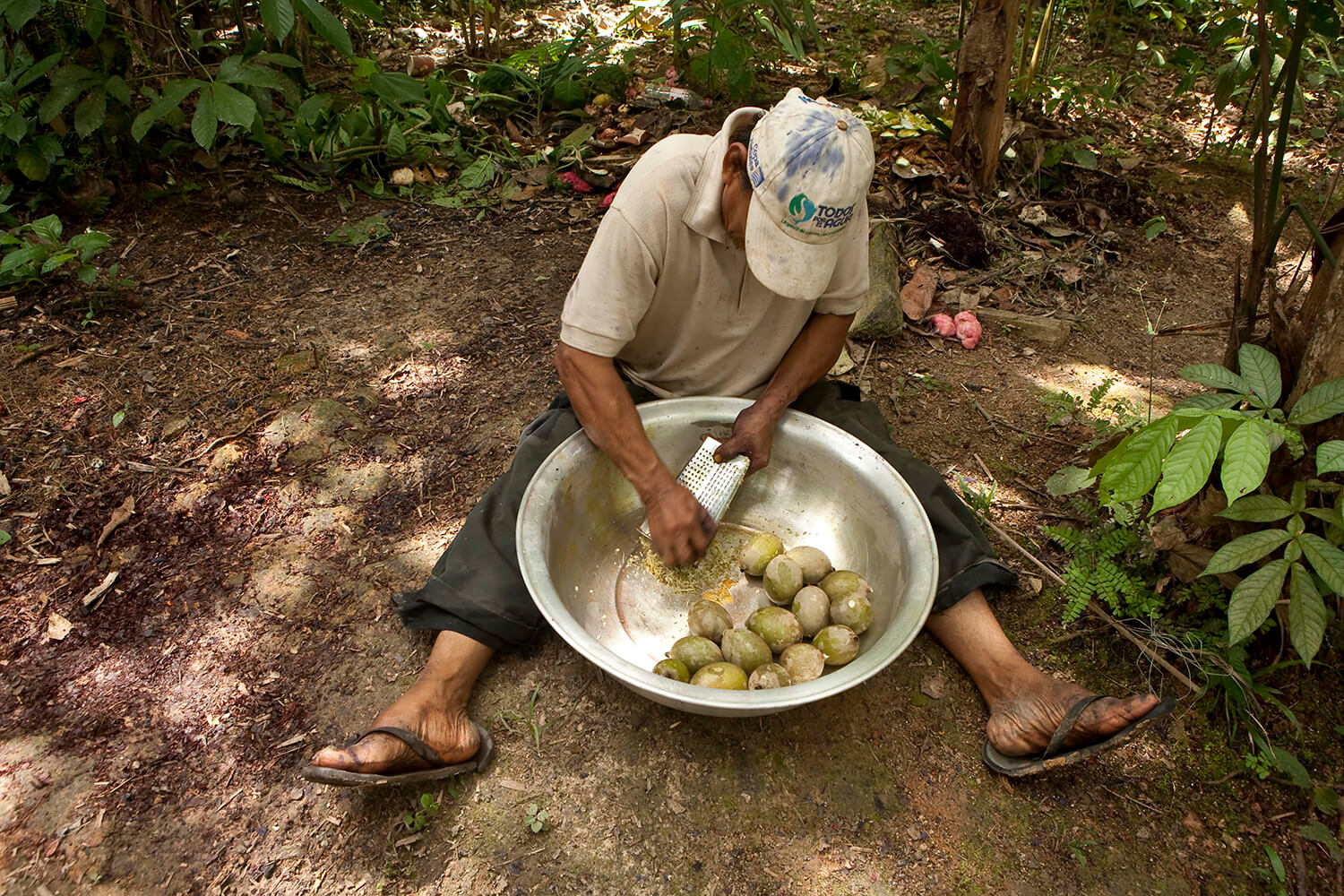 Huito | Color Amazonia