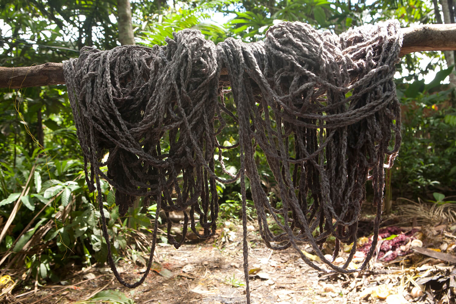 Huito | Color Amazonia