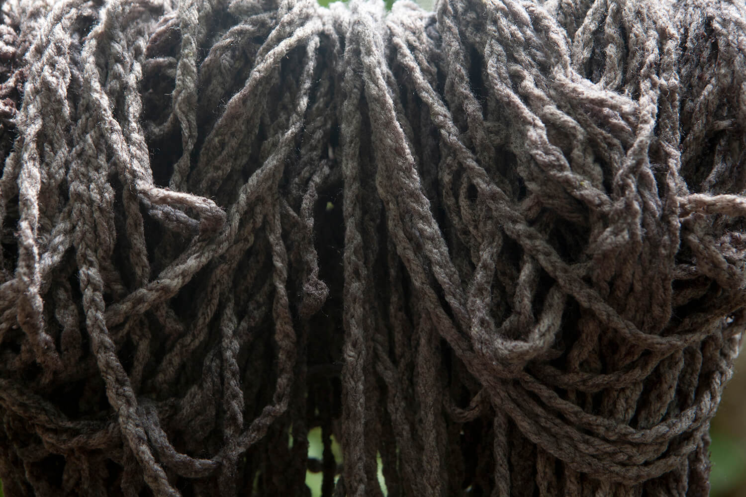 Huito | Color Amazonia