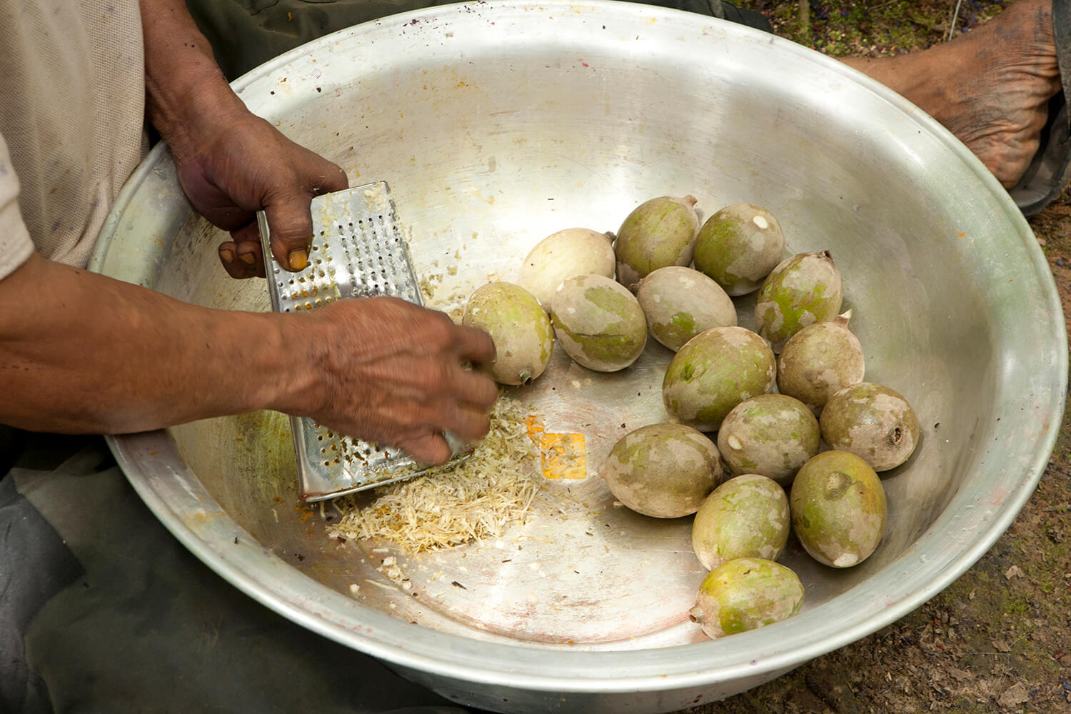 Huito | Color Amazonia