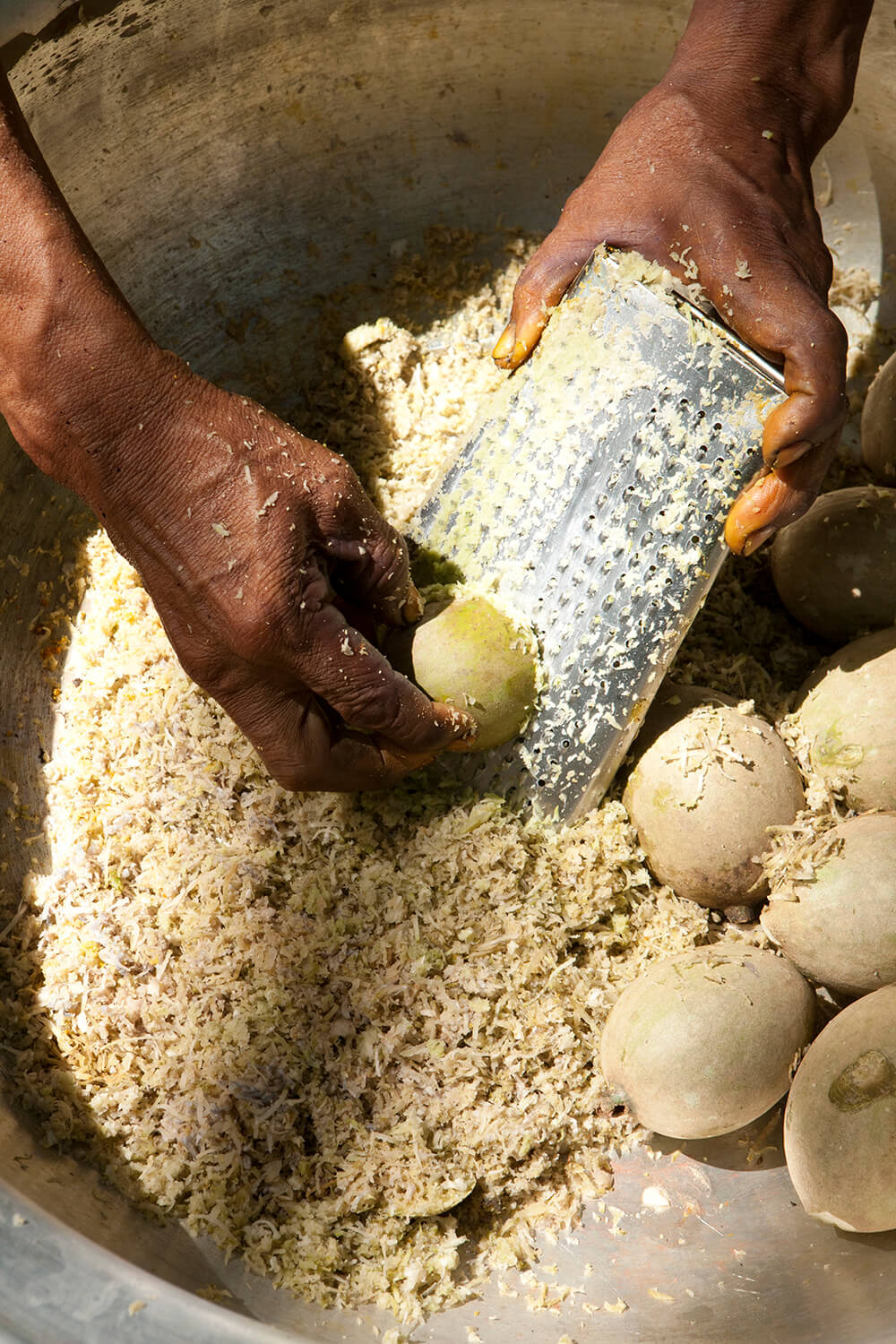 Huito | Color Amazonia