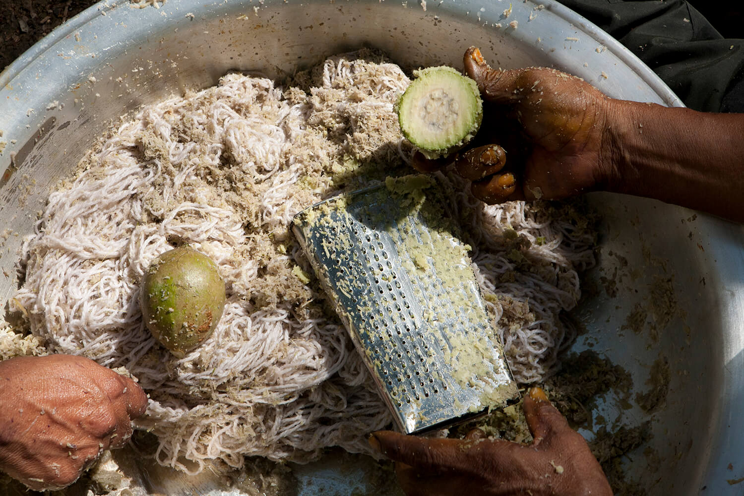 Huito | Color Amazonia