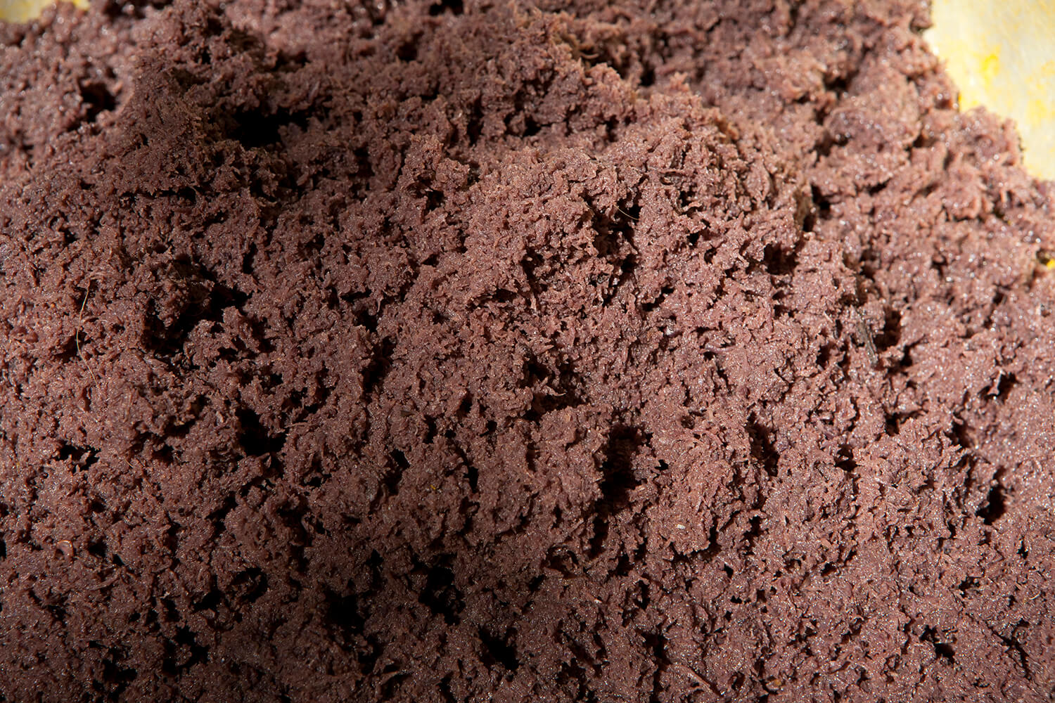 Huito | Color Amazonia