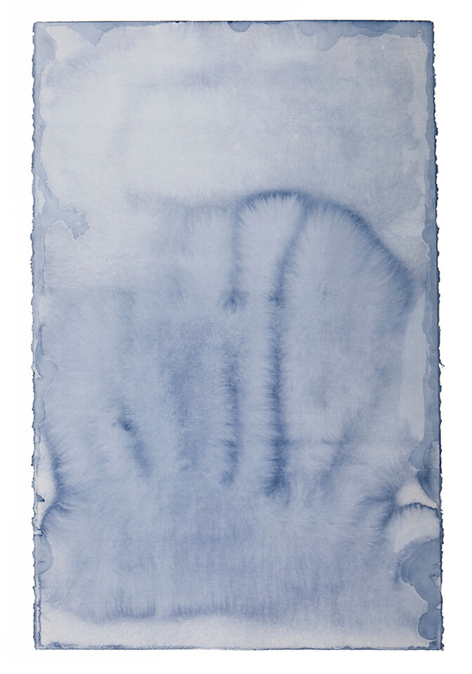 Huito | Color Amazonia