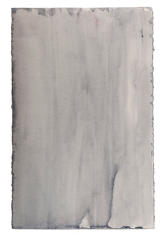 Huito | Color Amazonia