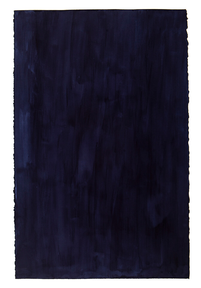 Huito | Color Amazonia