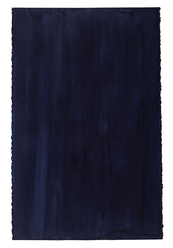 Plantas - Color Amazonia